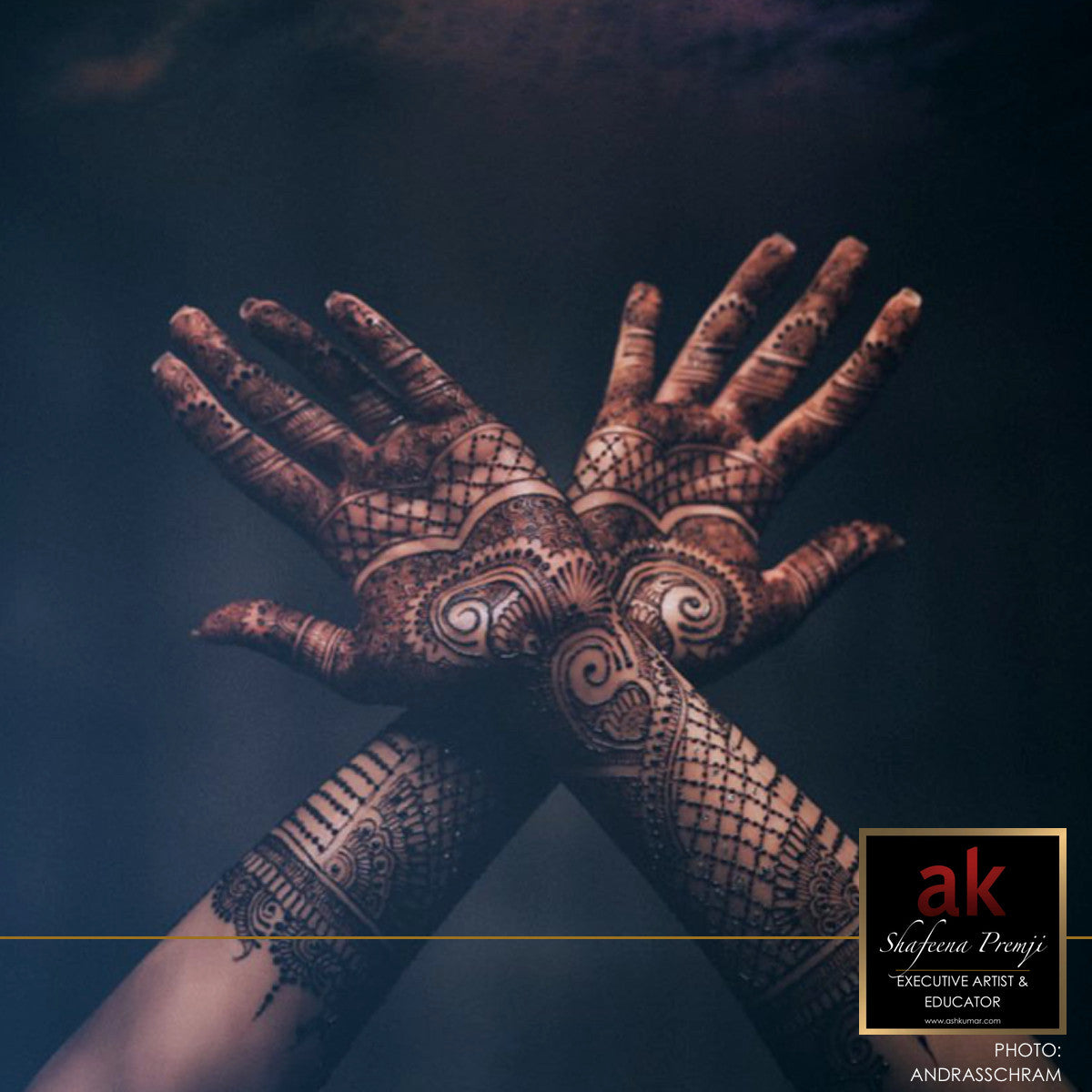 SHAFEENA PREMJI (Canada & International) — ak-artist.com